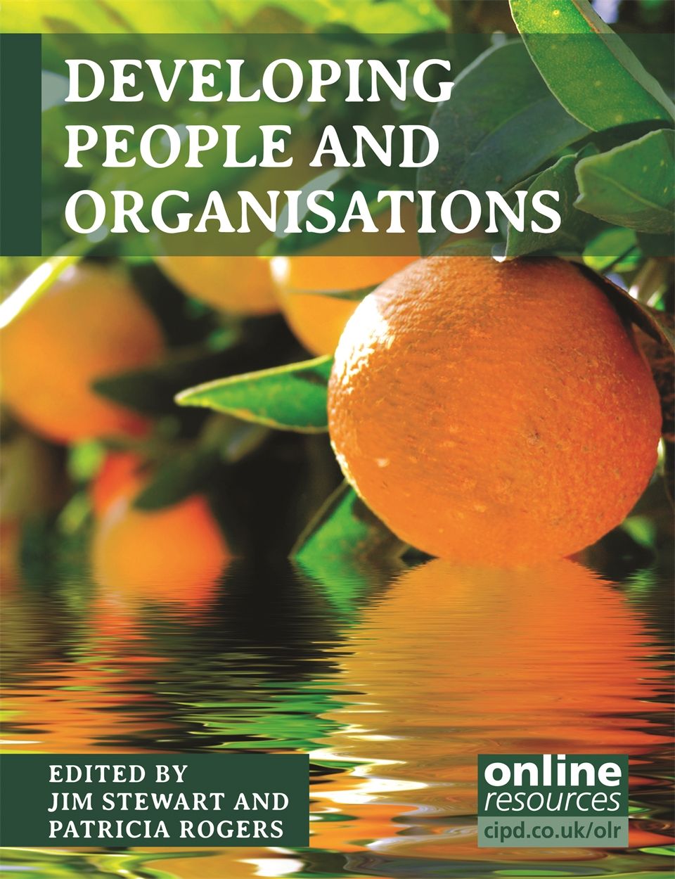 Developing People and Organisations | Kogan Page